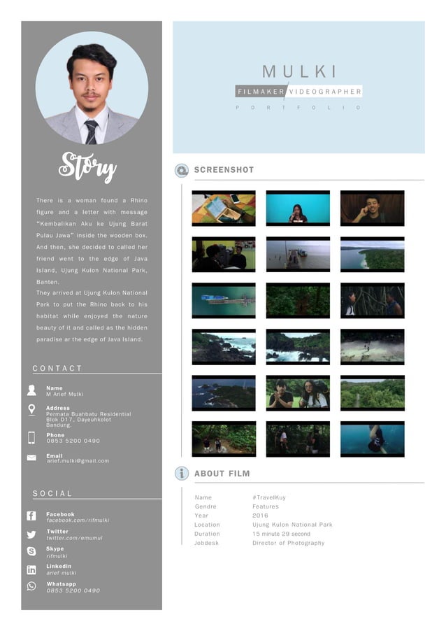 CV & Portofolio | PDF