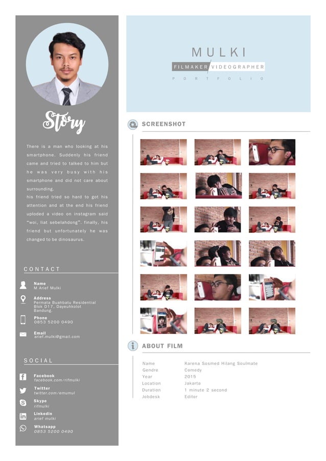 CV & Portofolio | PDF