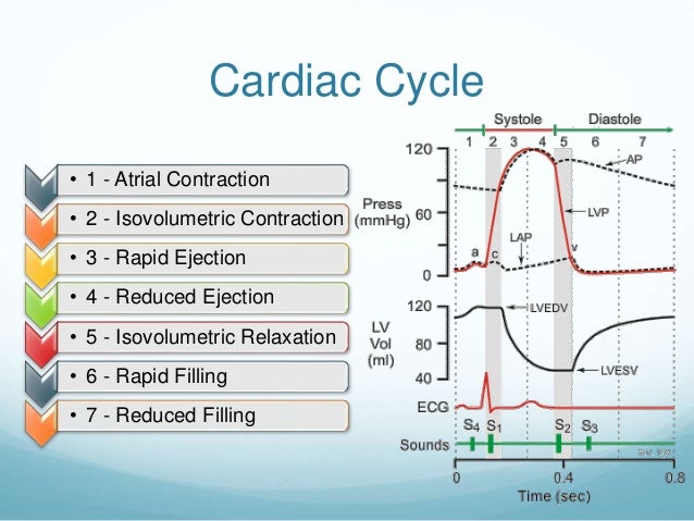 CVP Pulmonary artery wedge pressure monitoring: Physiology