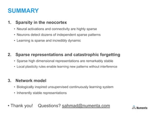 CVPR 2020 Workshop: Sparsity in the neocortex, and its implications for continuous learning | PPT