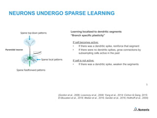 CVPR 2020 Workshop: Sparsity in the neocortex, and its implications for ...