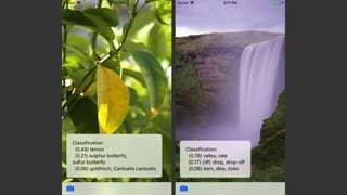 MobileNetV2: Inverted Residuals and Linear Bottlenecks | PDF