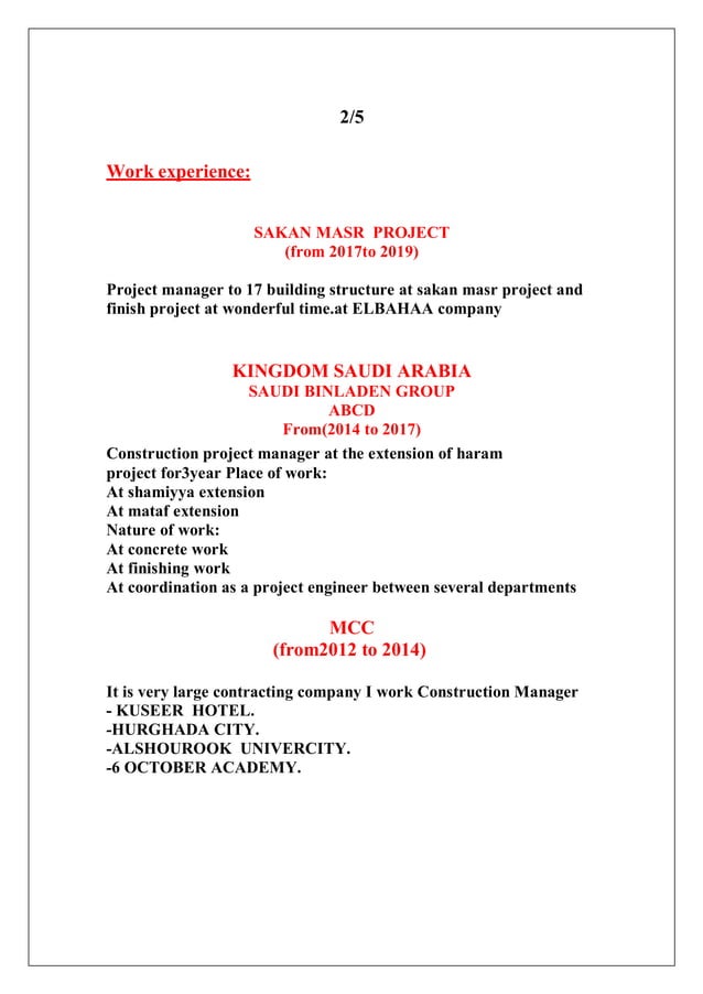 Cv project manager (2) | PDF