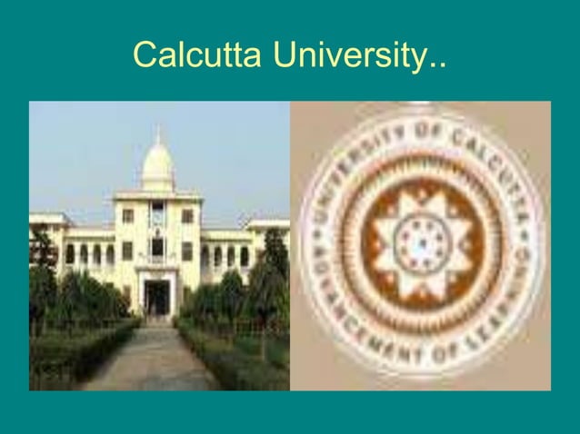 Cv Raman | PPTX | Musical Instruments | Hobbies & Interests