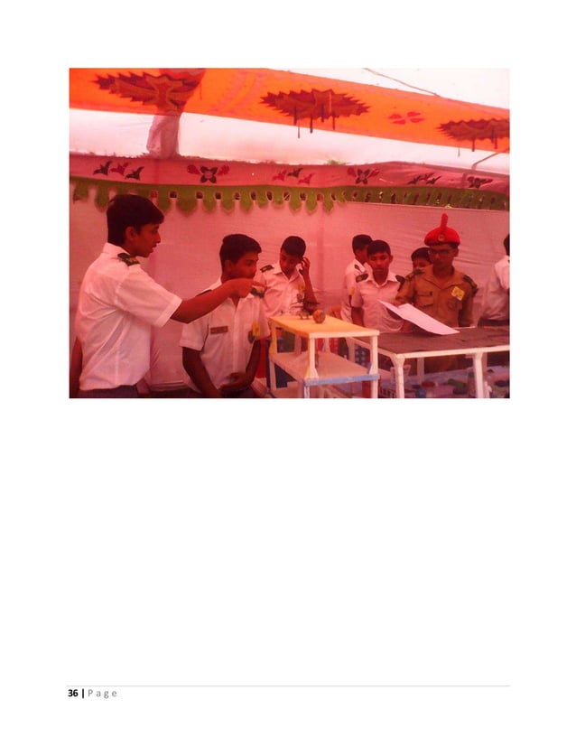 Cv resume and personal thesis statement | PDF