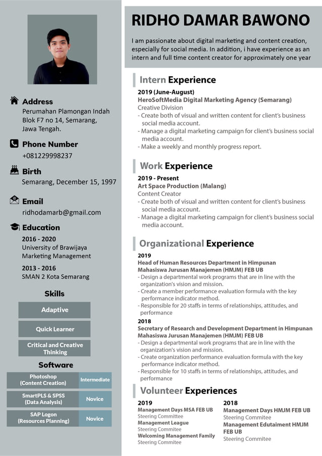 Cv ridho damar | PDF