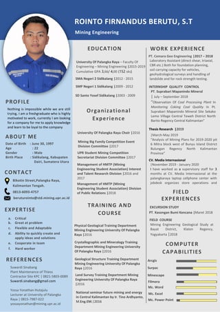 CV Rointo Firnandus Berutu | PDF