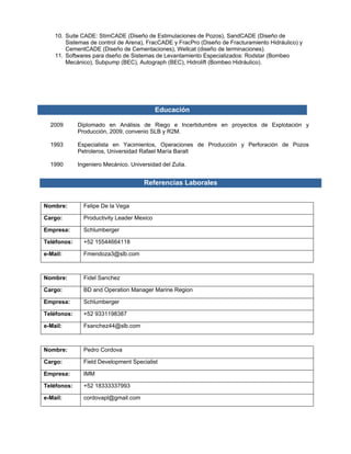Cv rolando lópez_español1 | PDF