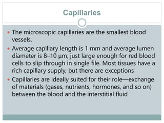 Cardiovascular System | PPTX
