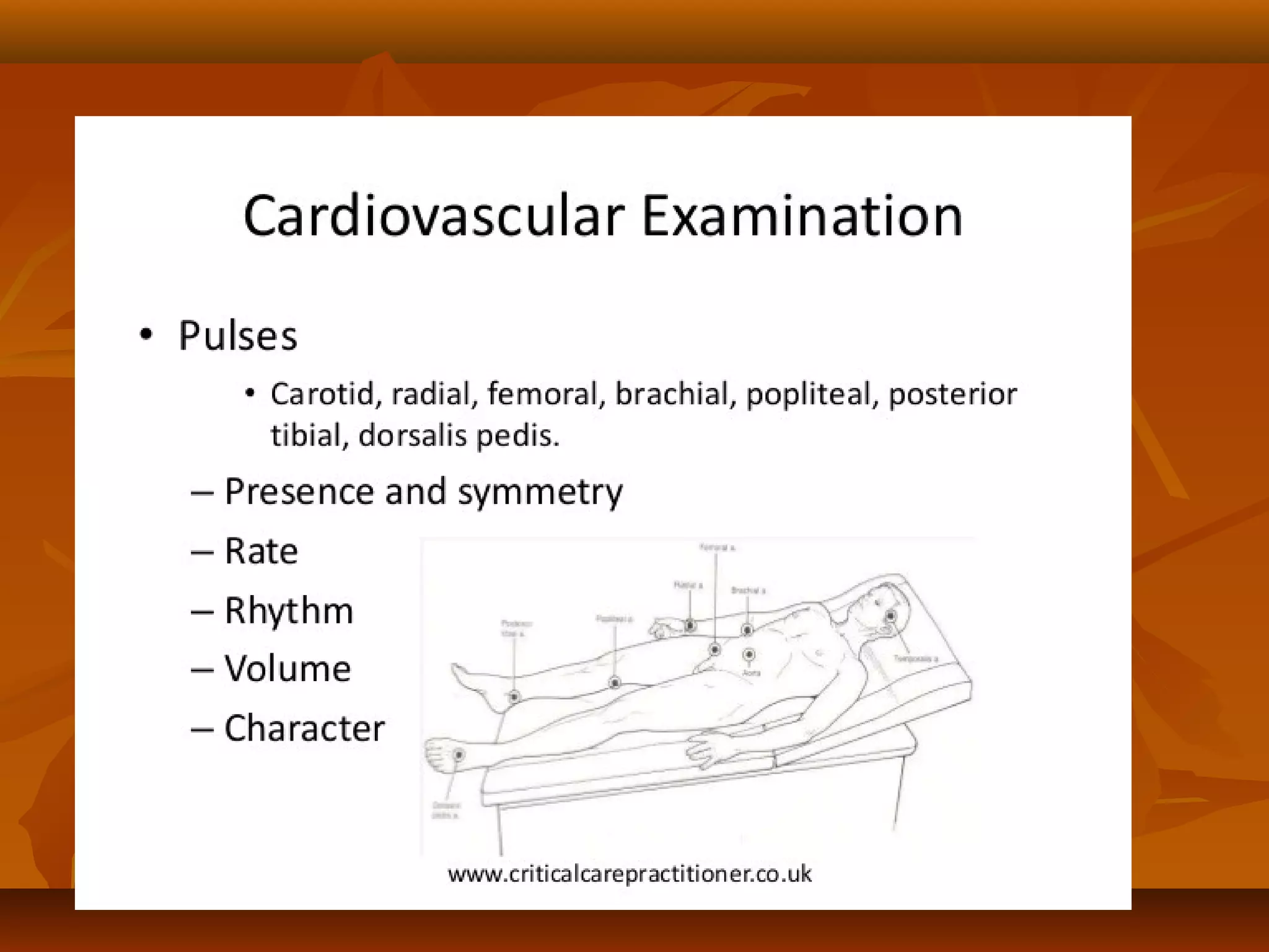 Cvs examination | PPT