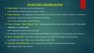 CARDIOVASCULAR SYSTEMIC EXAMINATION | PPTX