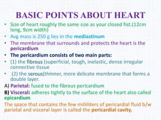 CARDIO VASCULAR SYSTEM THE HEART | PPTX