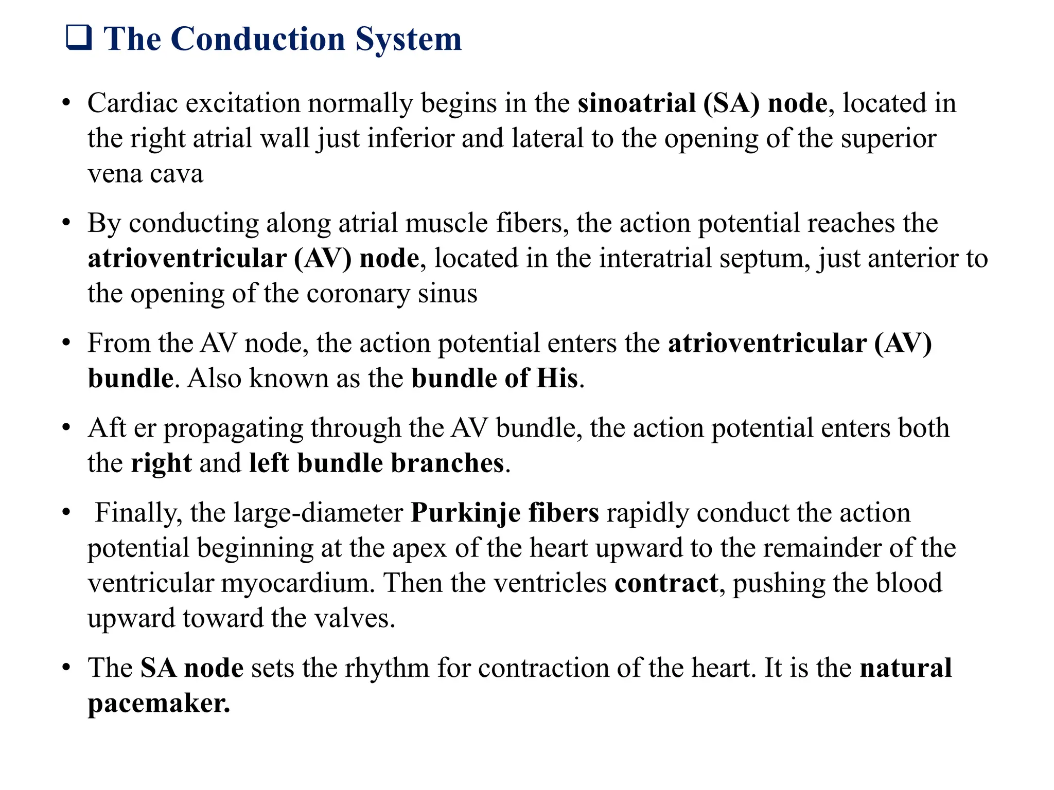 Cardiovascular system | PPTX