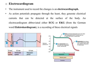 Cardiovascular system | PPTX