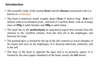 Cardiovascular system | PPTX