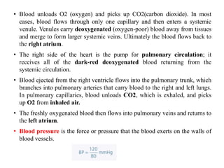 Cardiovascular system | PPTX
