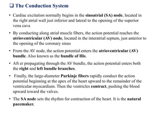 Cardiovascular system | PPTX