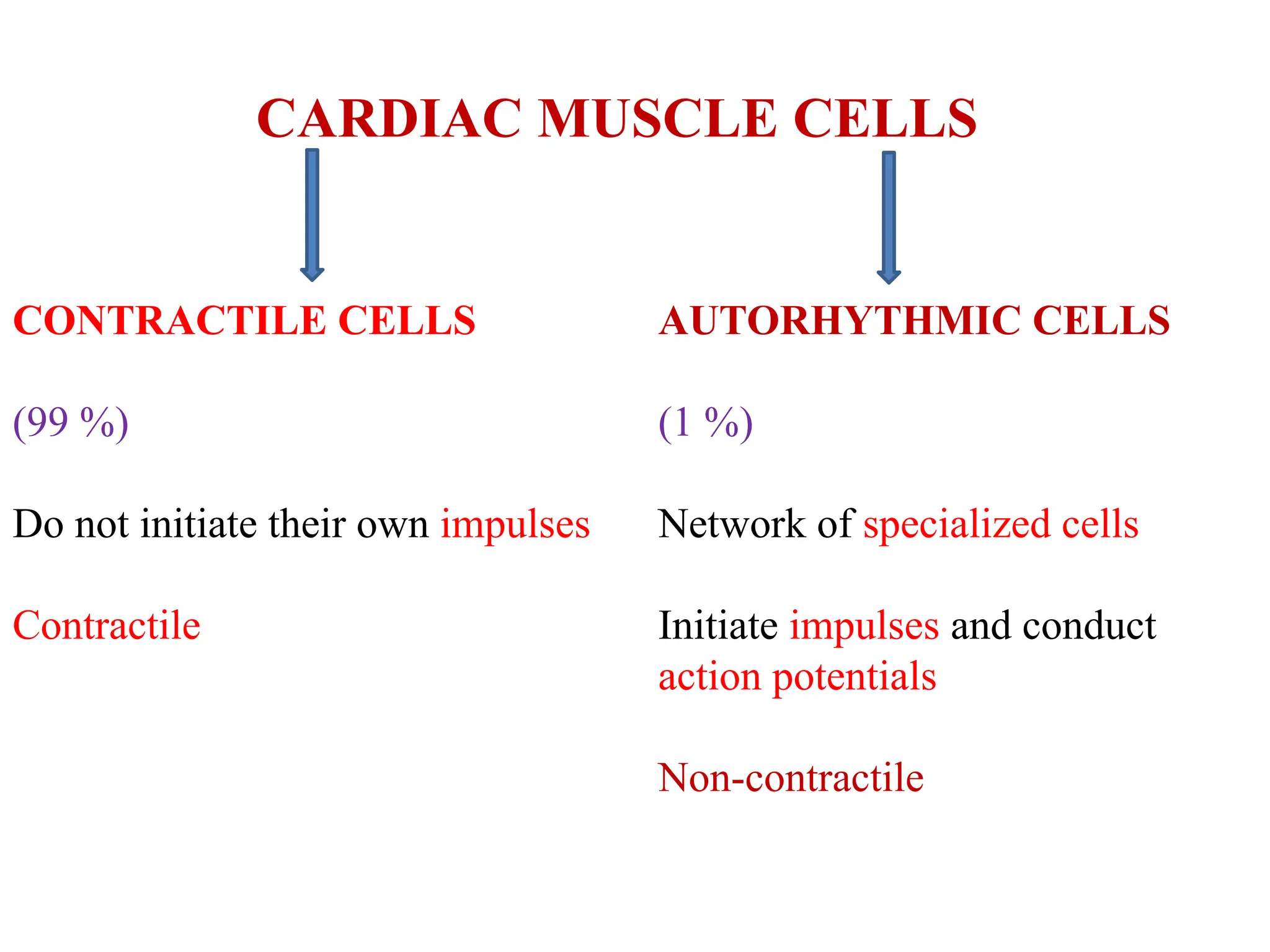 Cardio vascular system of a human body | PPTX