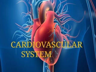 Cardiovascular system introduction pesentation | PPTX