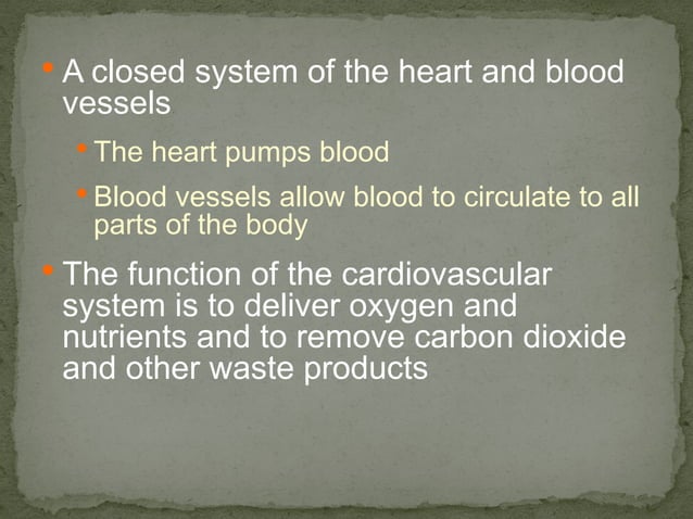 Cardiovascular system introduction pesentation | PPT