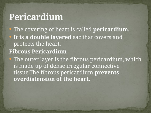 Cardiovascular system introduction pesentation | PPT