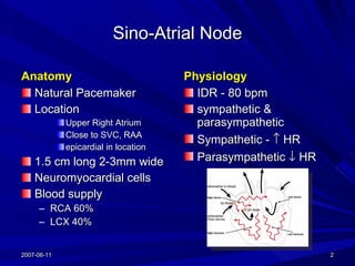 AV Nodal Blocks | PPT