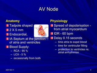 AV Nodal Blocks | PPT