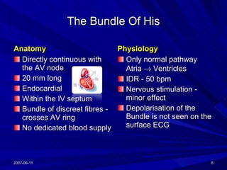 AV Nodal Blocks | PPT