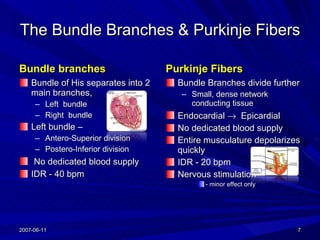 AV Nodal Blocks | PPT