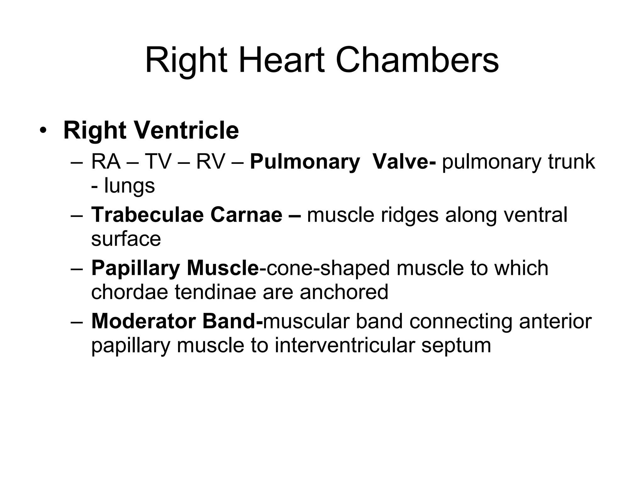 Embrology and Anatomy of Cardiovascular System | PPT