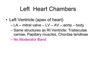 Embrology and Anatomy of Cardiovascular System | PPT