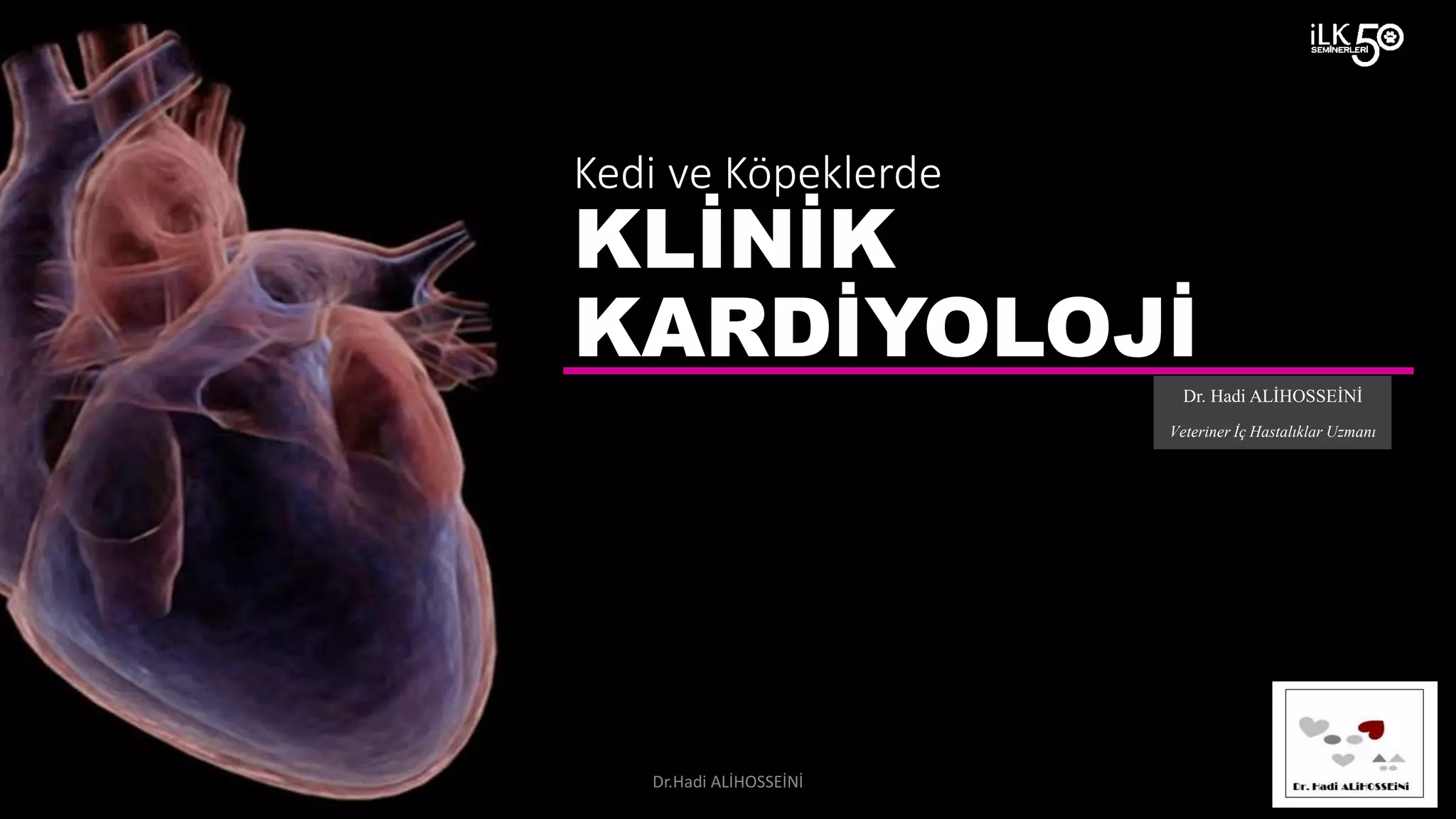 Kedi ve köpeklerde Klinik Kardiyolojik tanı ve Muayene yöntemleri | PDF