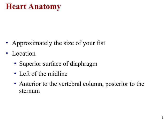 CVS- heart cardiovascular system Anat.ppt