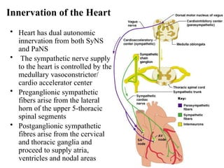 CVS-Physiology.power point fo HO students | PPTX