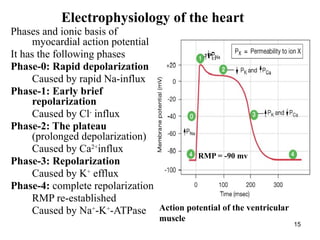 CVS-Physiology.power point fo HO students | PPTX