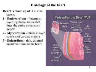 CVS-Physiology.power point fo HO students | PPTX