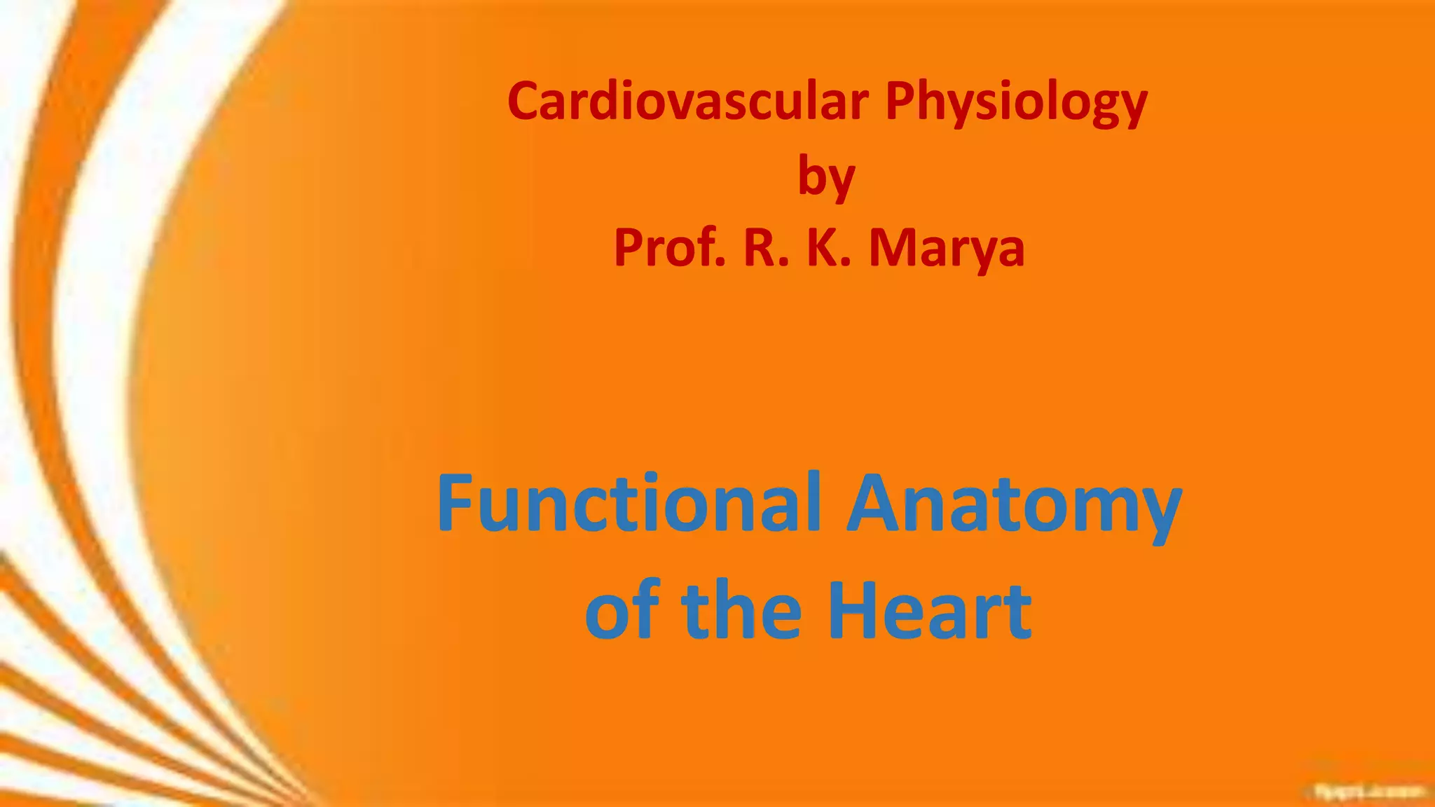 Cvs 1. functional anatomy | PPTX