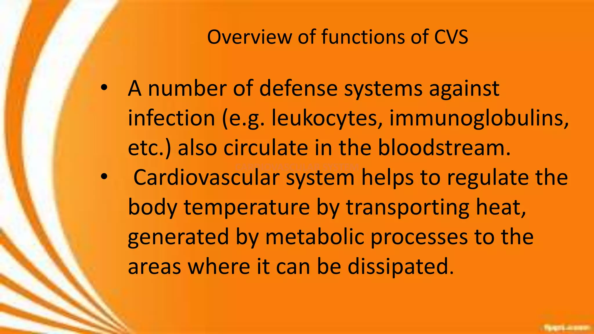 Cvs 1. functional anatomy | PPTX