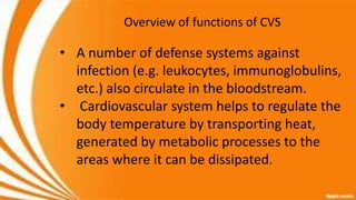 Cvs 1. functional anatomy | PPTX | Heart and Cardiovascular Diseases ...