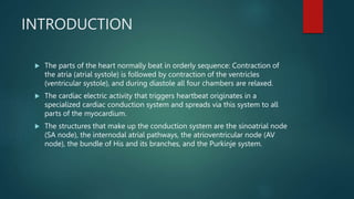 Cardiovascular physiology | PPT