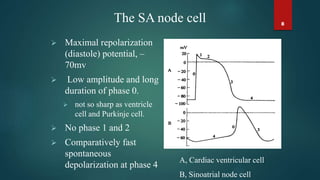 Cardiovascular physiology | PPT