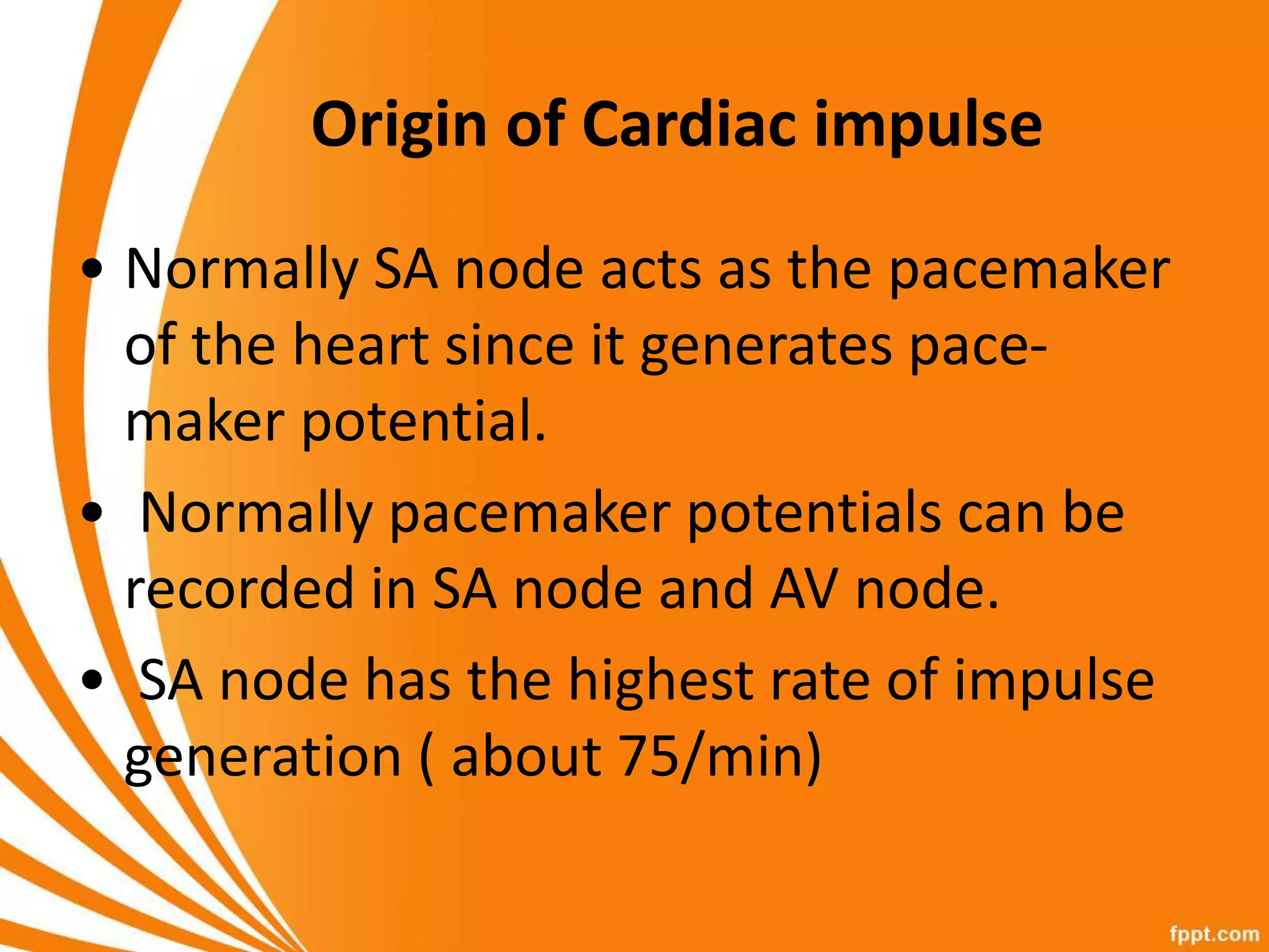 Cvs 2. Electrical properties of Cardiac Muscle | PPT