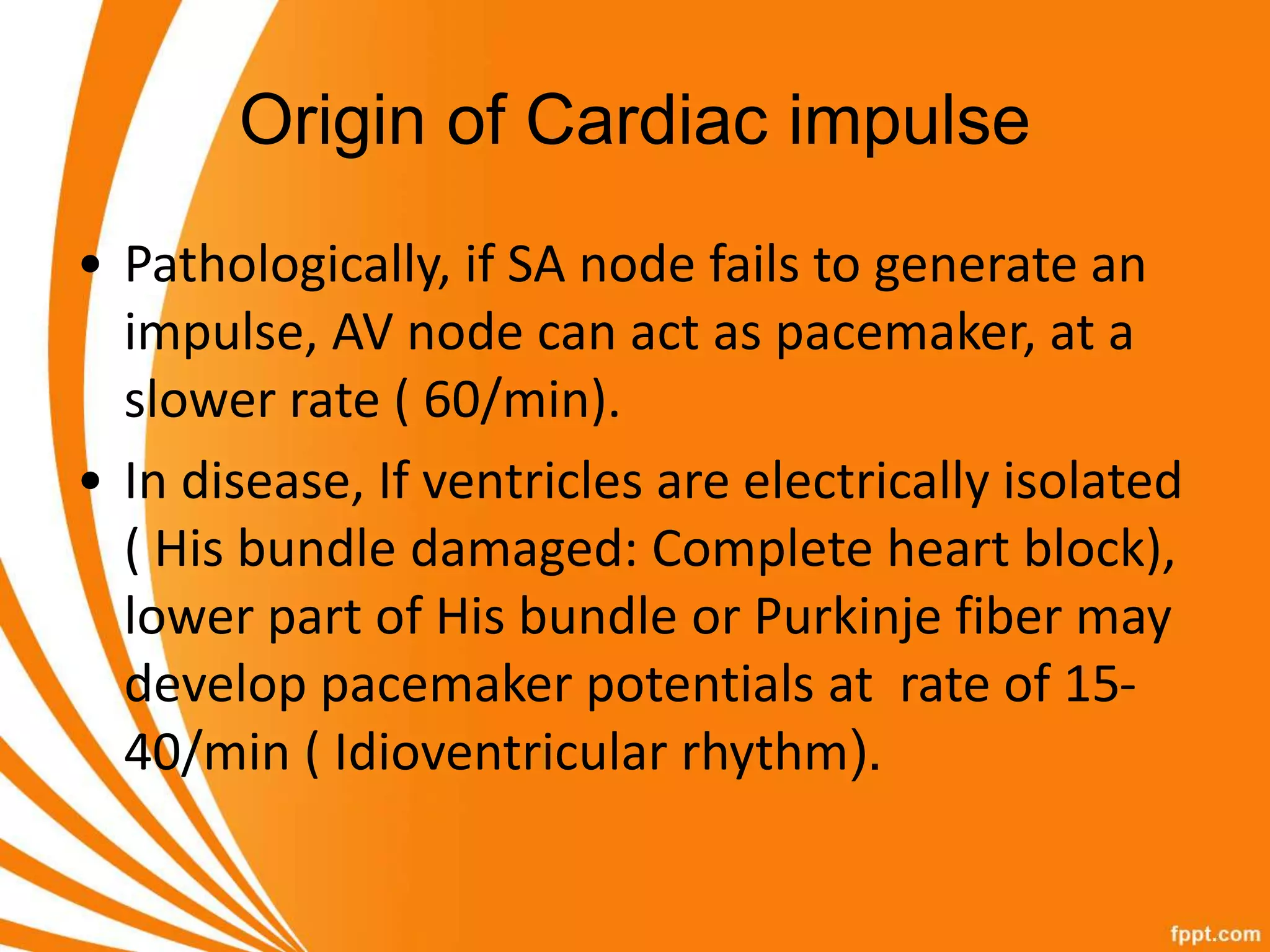 Cvs 2. Electrical properties of Cardiac Muscle | PPT