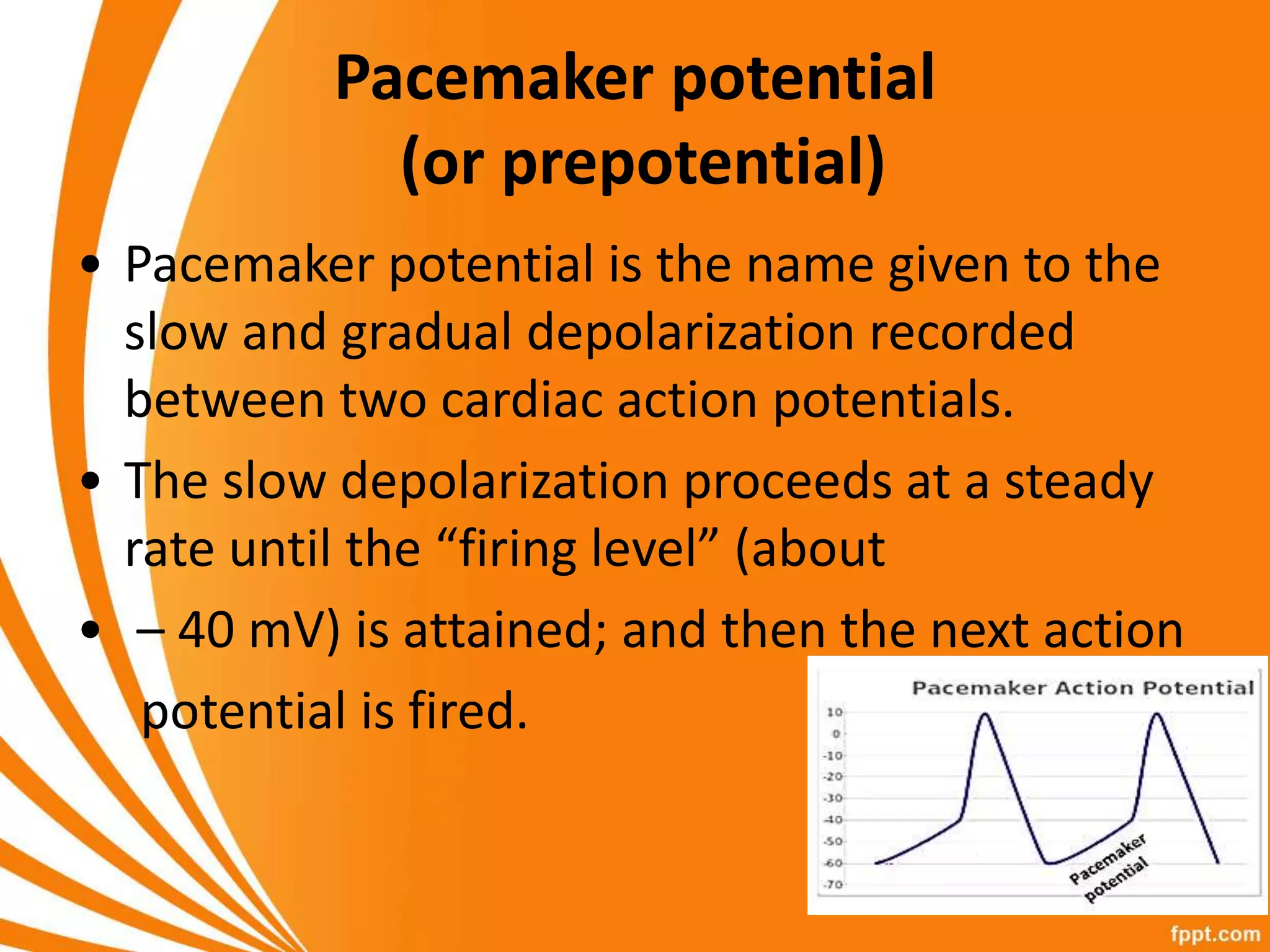 Cvs 2. Electrical properties of Cardiac Muscle | PPT