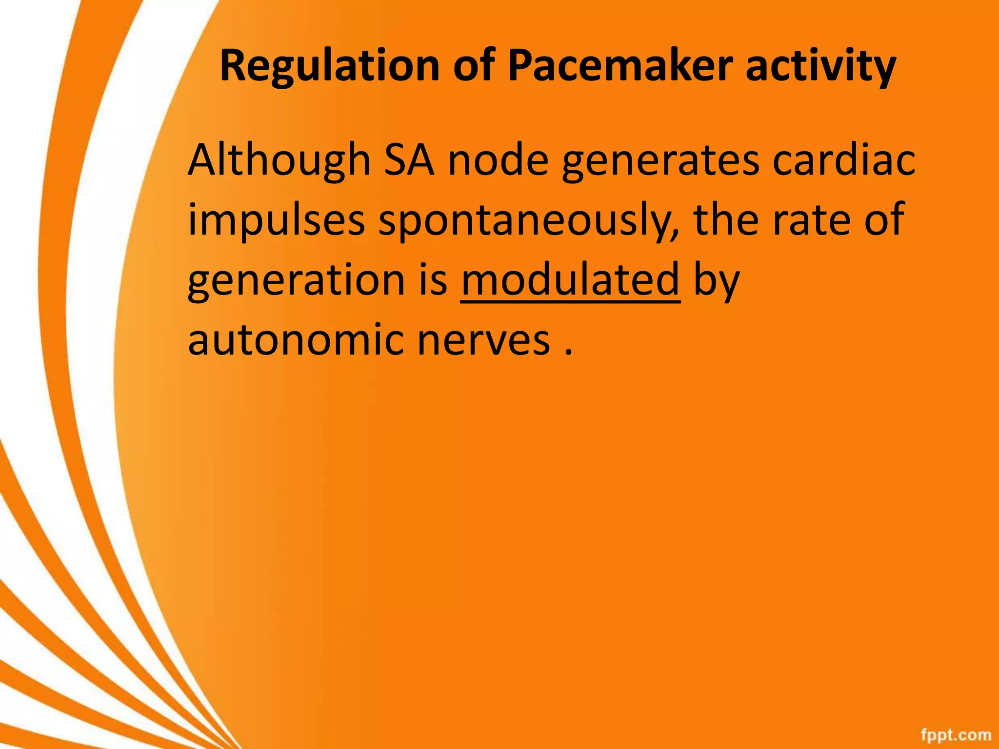 Cvs 2. Electrical properties of Cardiac Muscle | PPT
