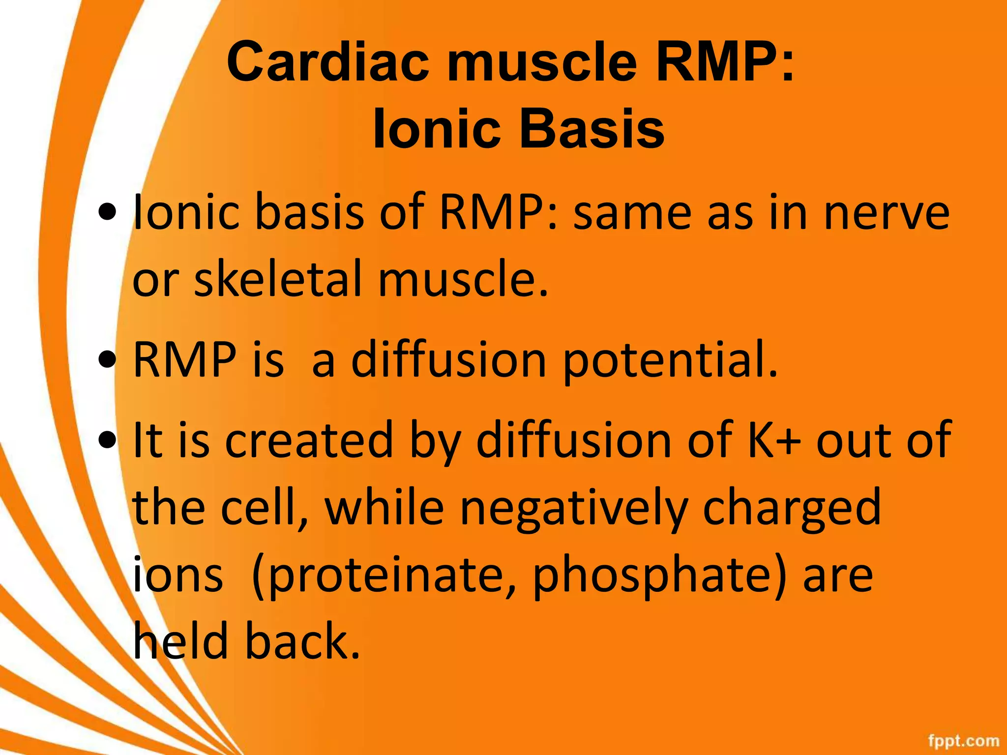 Cvs 2. Electrical properties of Cardiac Muscle | PPT