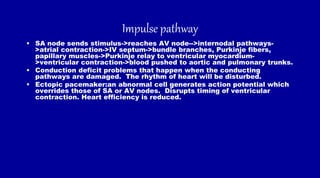 CVS 2 IMPULSE GENERATION.ppt