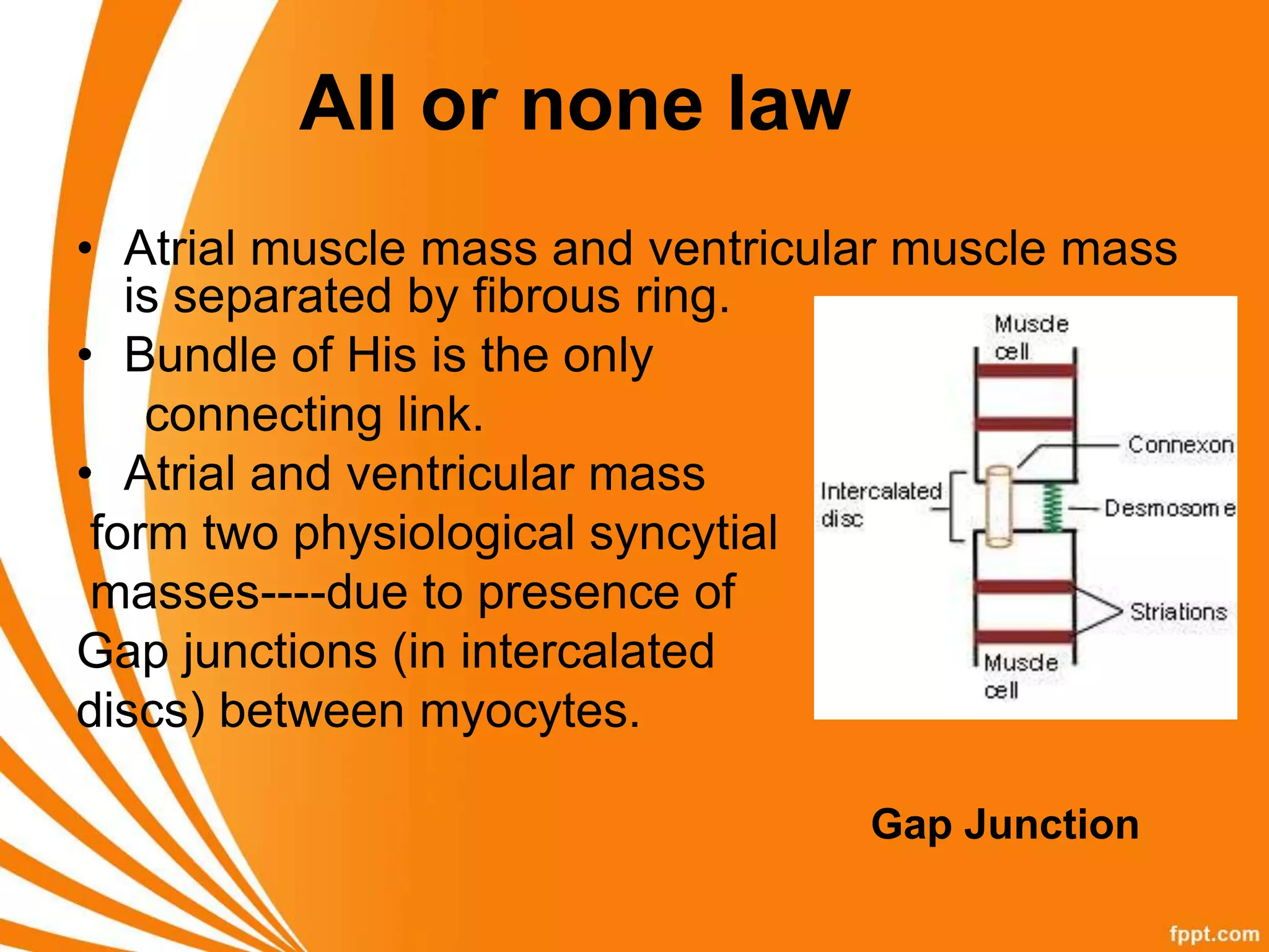 Cvs 2 mechanical properties of cardiac muscle | PPT