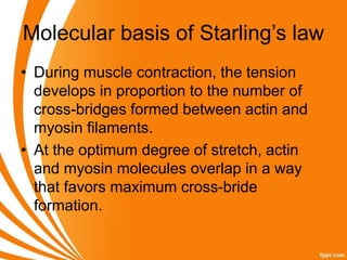 Cvs 2 mechanical properties of cardiac muscle | PPT