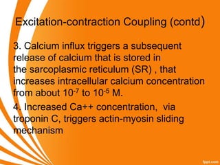 Cvs 2 mechanical properties of cardiac muscle | PPT